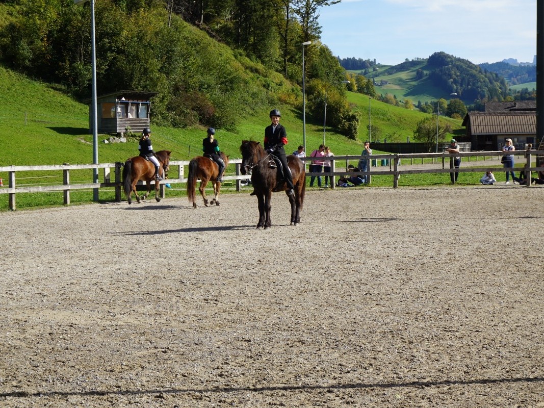 News - Reithof Neckertal, Brunnadern